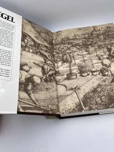 Pieter Bruegel by Bob Claessens, Jeanne Rousseau Vintage 1981 Hardcover ...