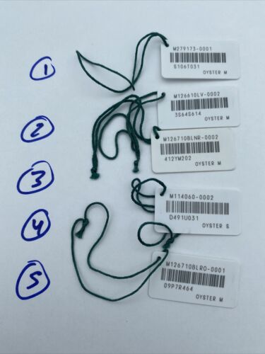 Rolex Watch Hang Tag White Authentic Original - Your Choice - The ...